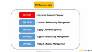 Quali sono le differenze tra SAP ERP ECC e SAP Business Suite? - CorsoSAP