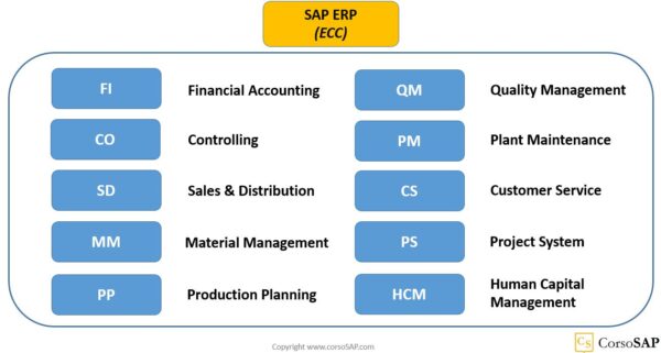 Quali sono le differenze tra SAP ERP ECC e SAP Business Suite? - CorsoSAP