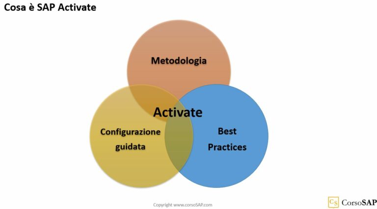 Cosa è Sap Activate Metodologia Best Practice Configurazione Guidata